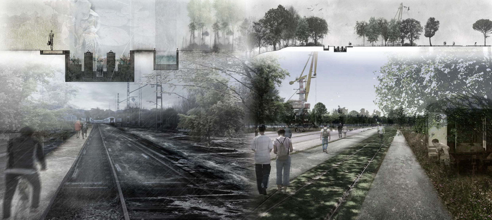 GRAFT — POROUS BORDER