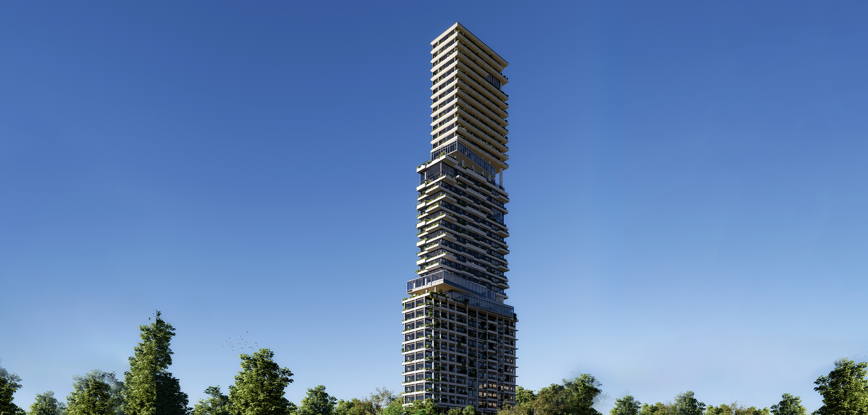 PACE | AG7 • Building Wellness