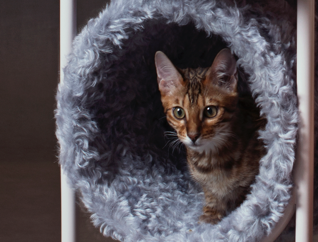 MURR AND WOOF — Tube | Gray