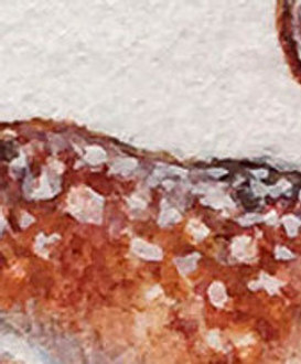 Amber Boardman - Masthead Magazine - Op-Ed