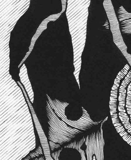 Amber Boardman - Masthead Magazine - Op-Ed