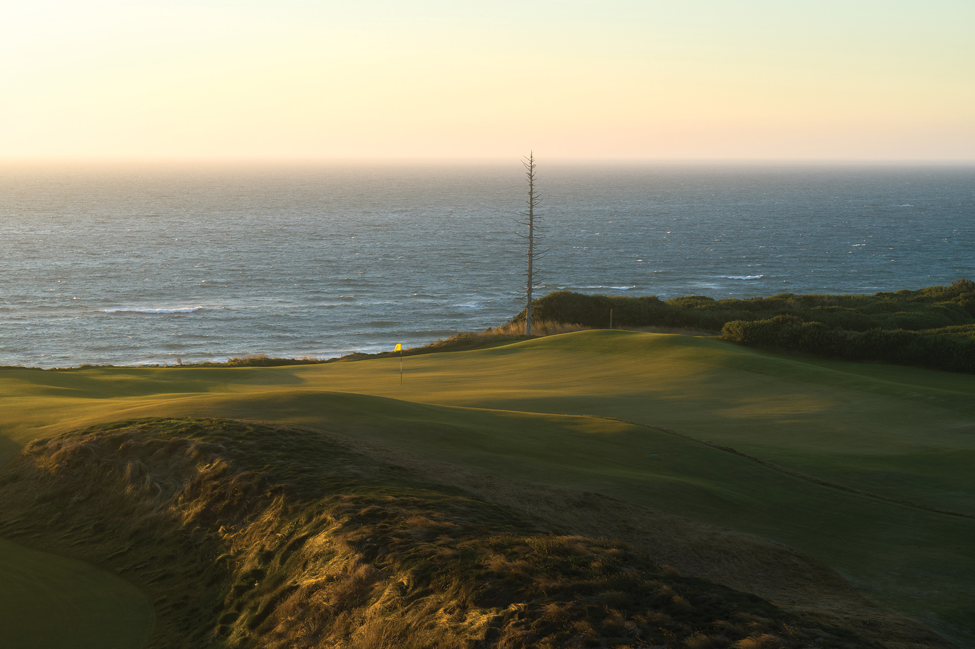 Dream Golf