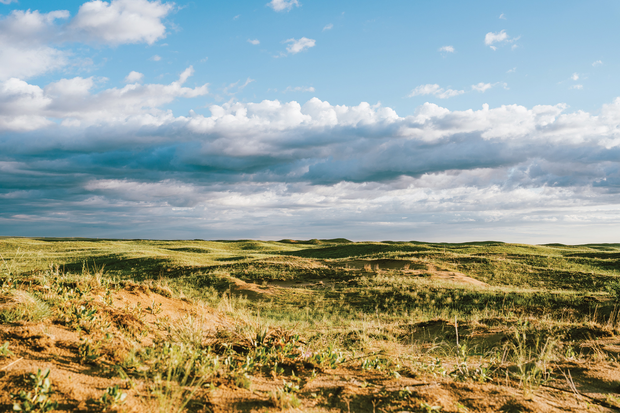 Dream Golf | Jimmy Craig