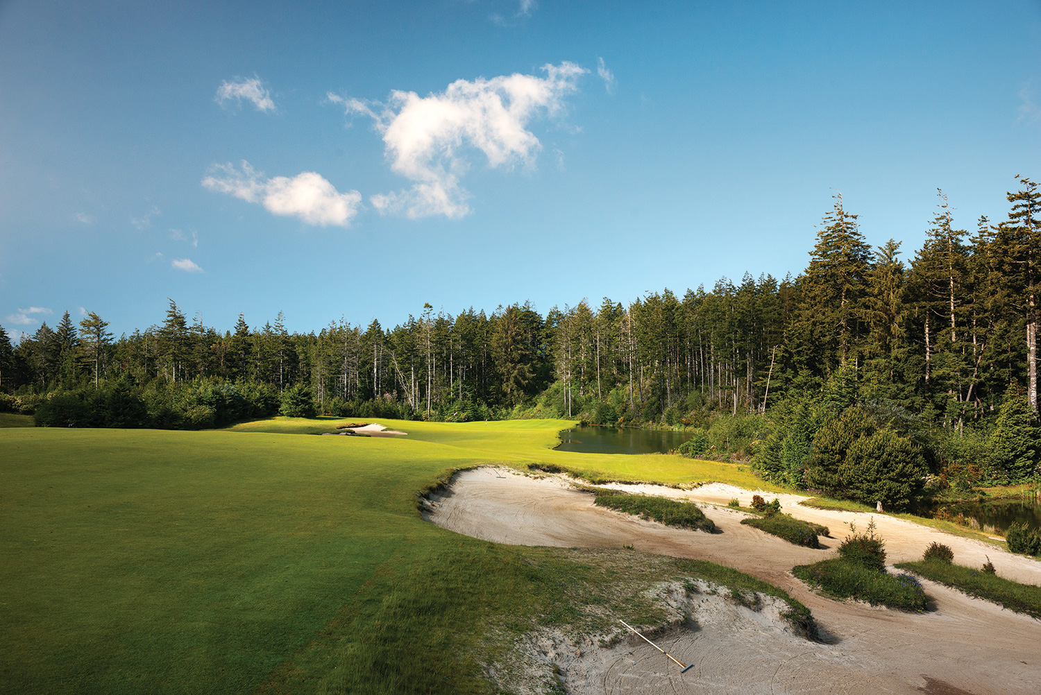 Dream Golf | Dream 18