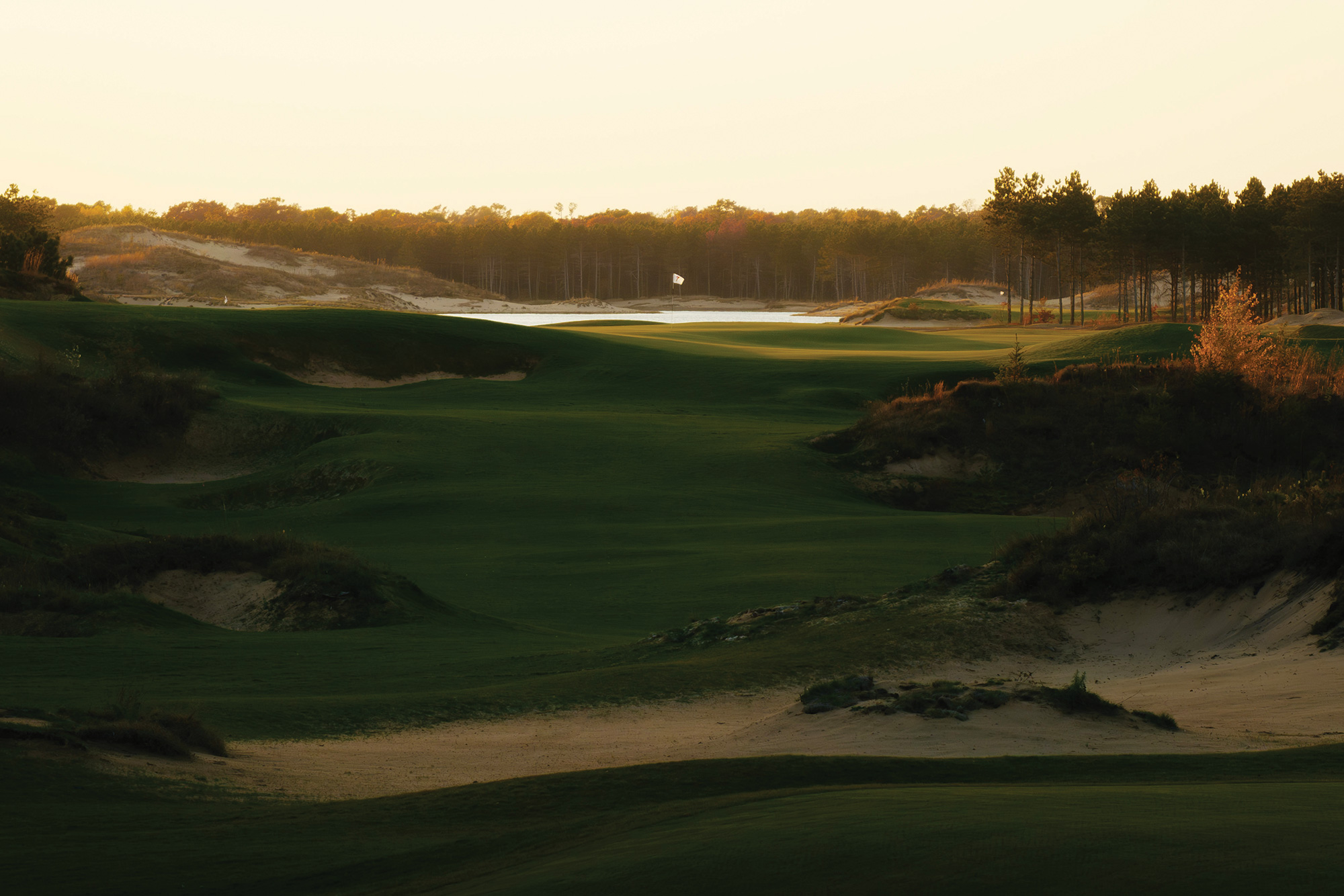 Dream Golf | The Commons