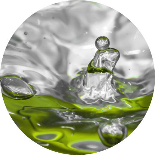 Sodinal - Енология и винопроизводство — Стабилизация и избистряне