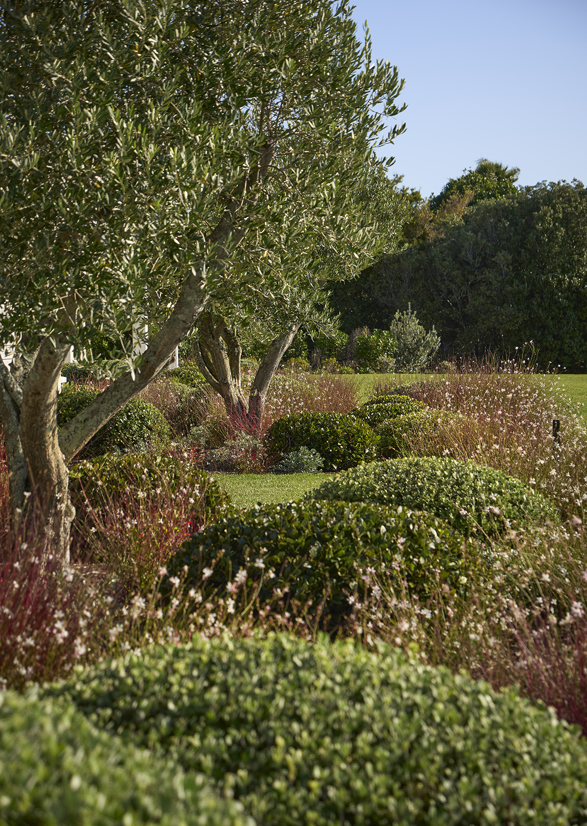 Suzanne Turley Landscapes — Beachside Retreat
