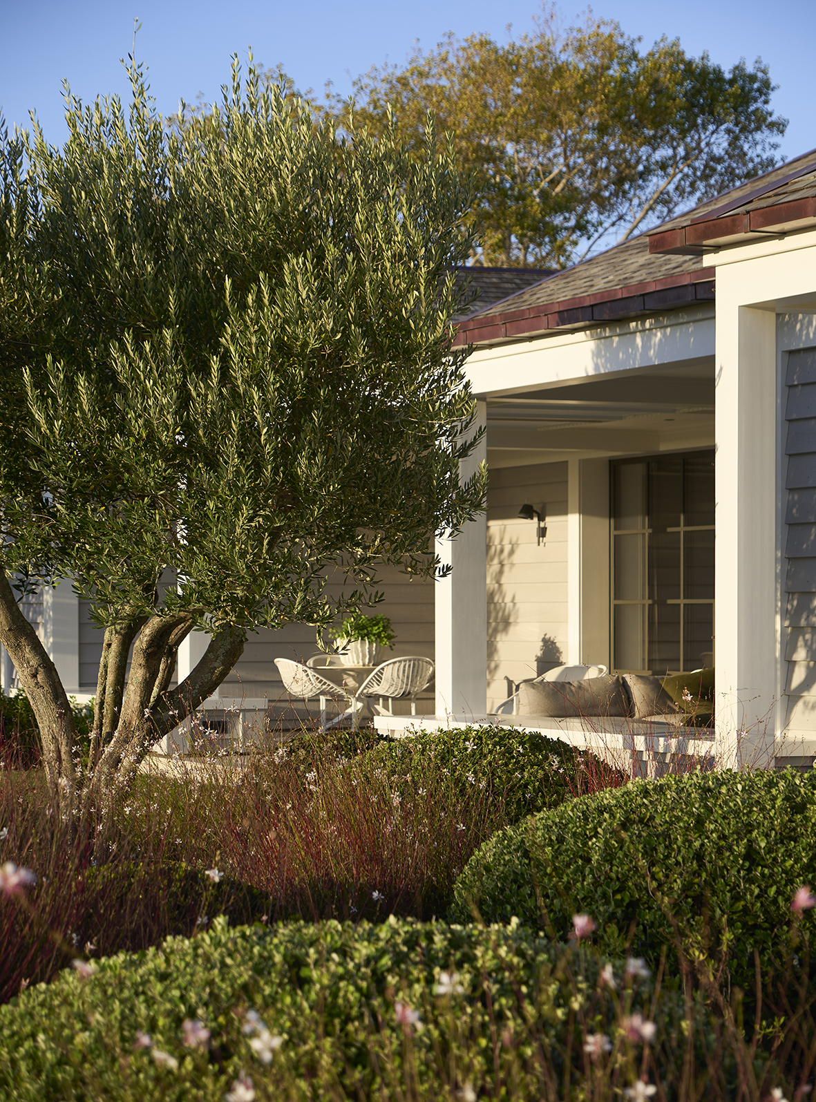 Suzanne Turley Landscapes — Beachside Retreat