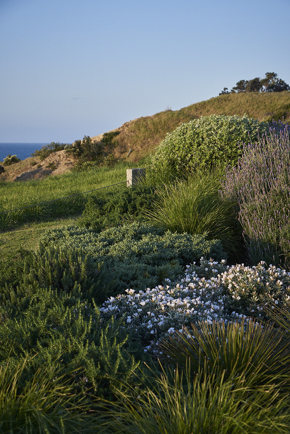 Suzanne Turley Landscapes — Island Retreat