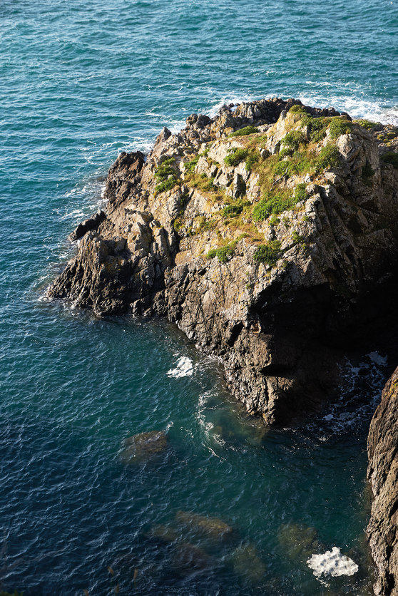 Suzanne Turley Landscapes — Island Retreat