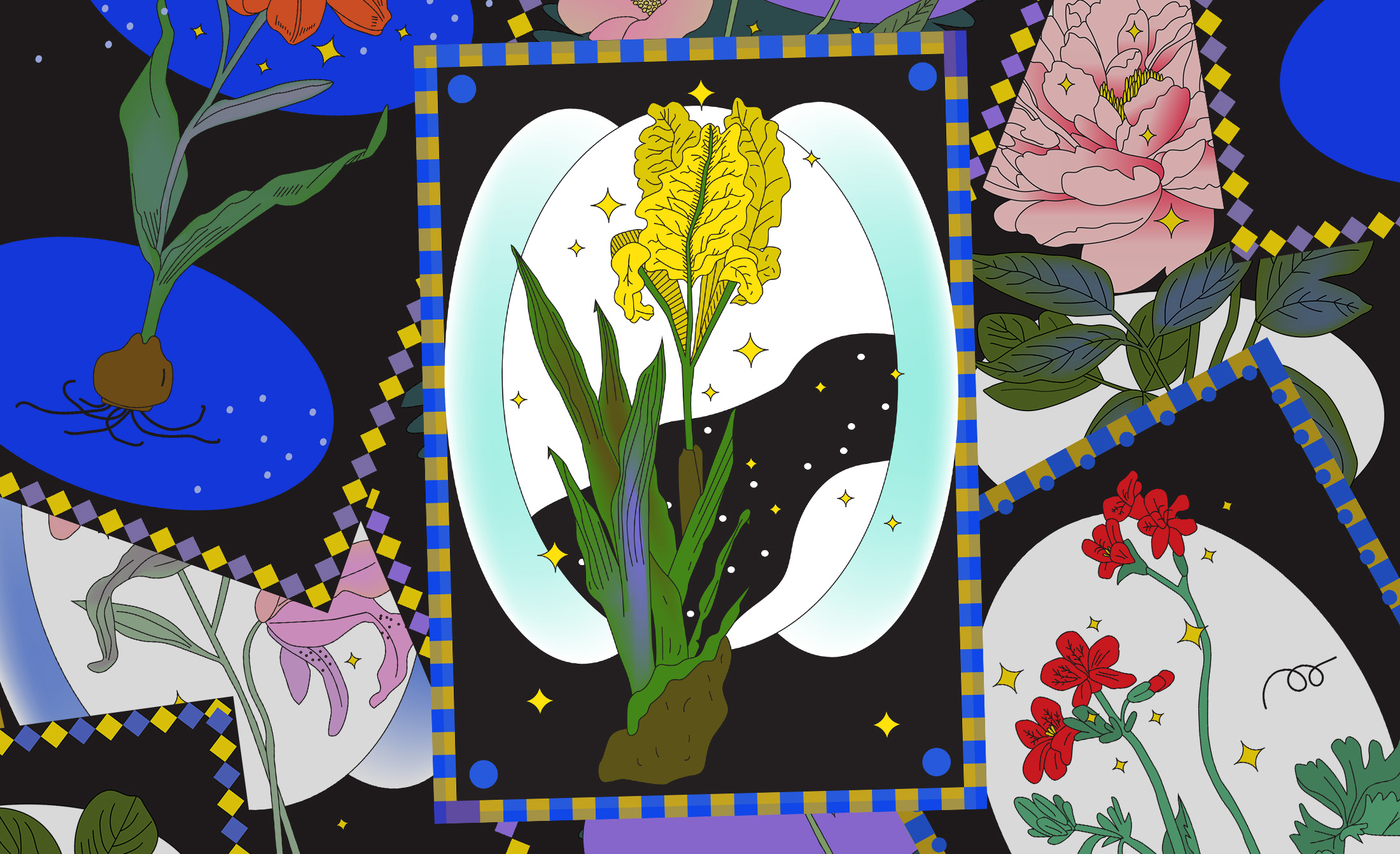 Tara Keogh illustration