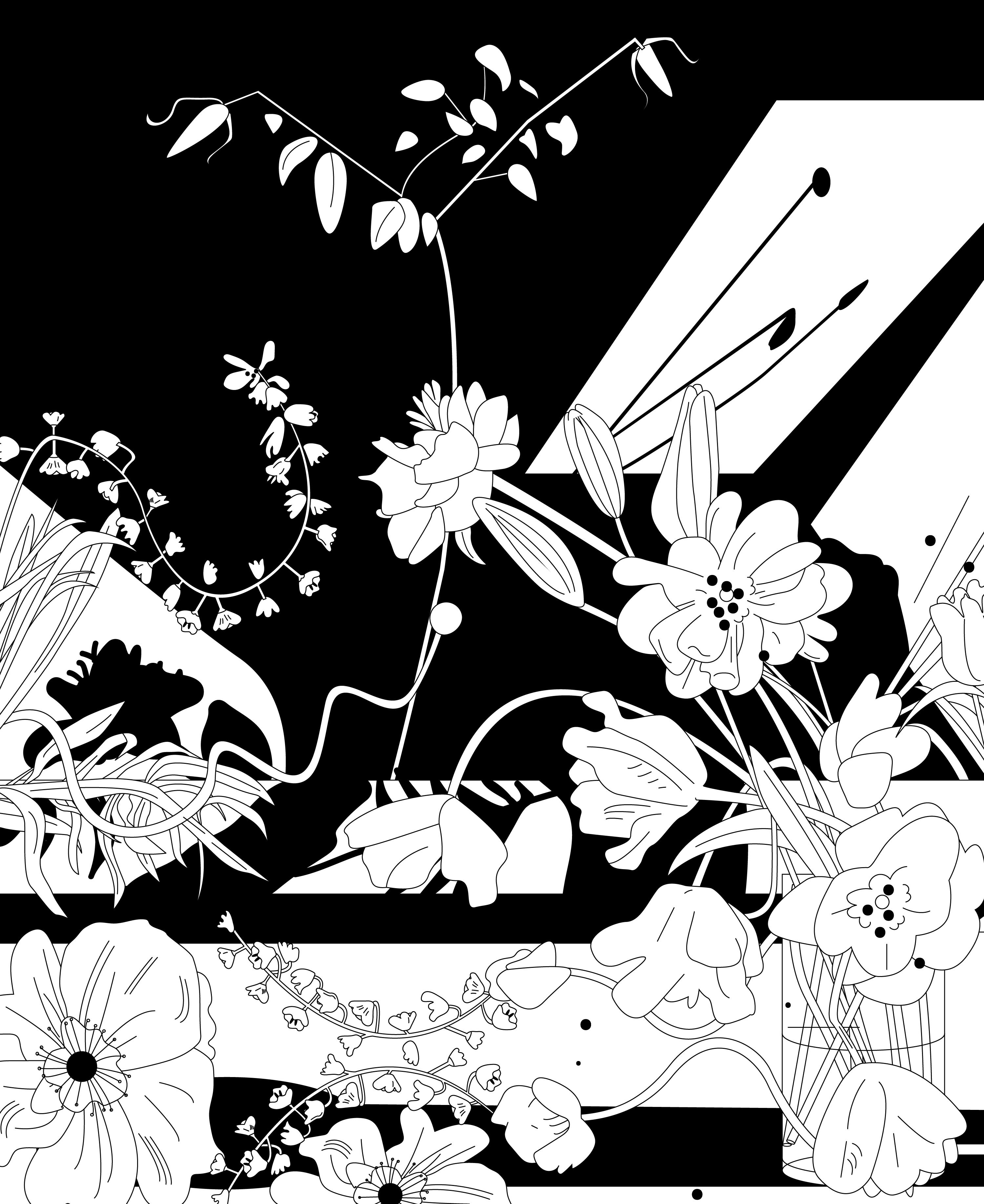 Tara Keogh illustration