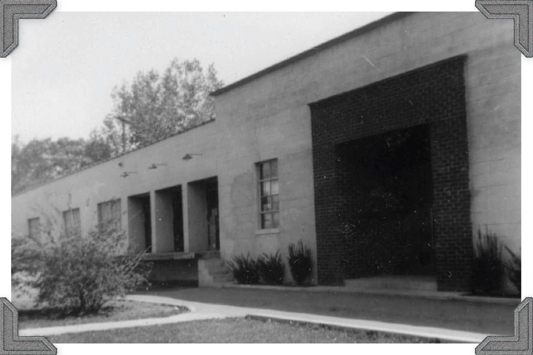 Gay Fad Studios — Gay Fad Studio's History