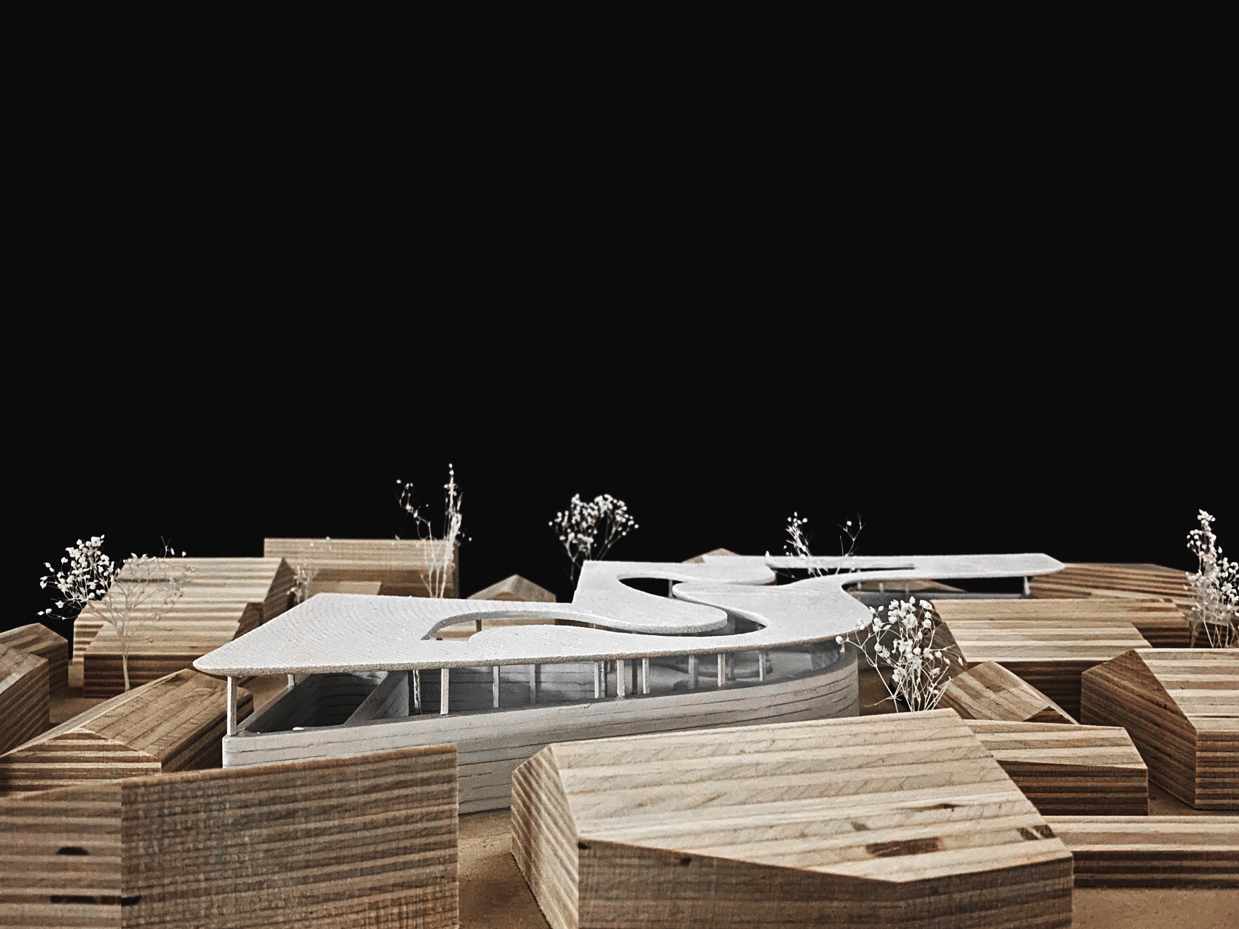 Courtyard+Courty+Courtyard House