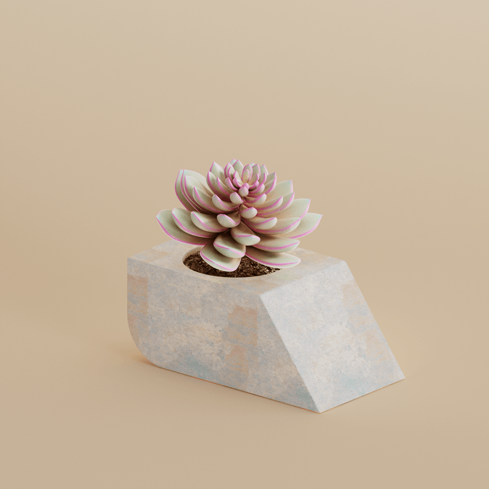 Daniel Whitaker — Wealthsimple