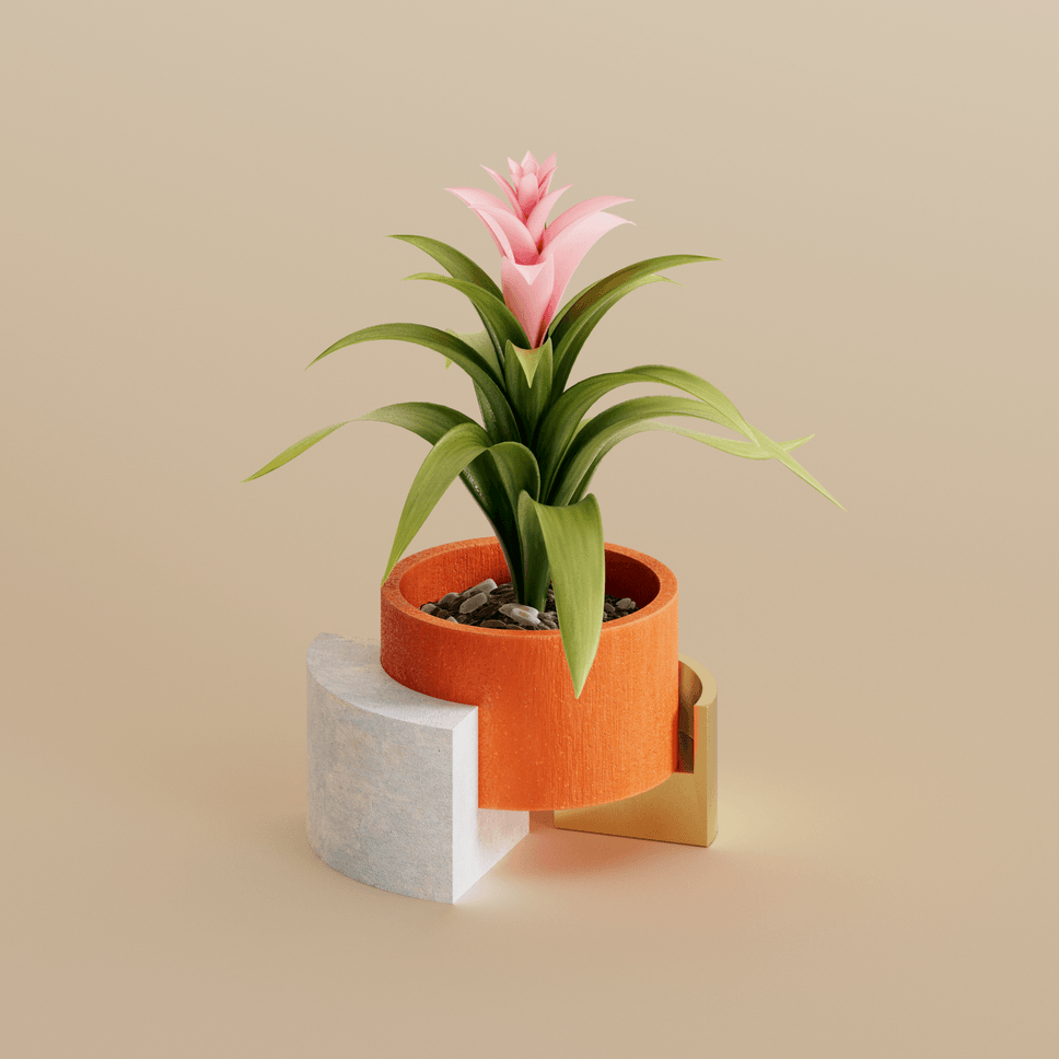 Daniel Whitaker — Wealthsimple