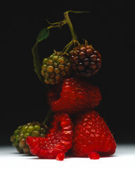 Carl Ostberg — STILL LIFE