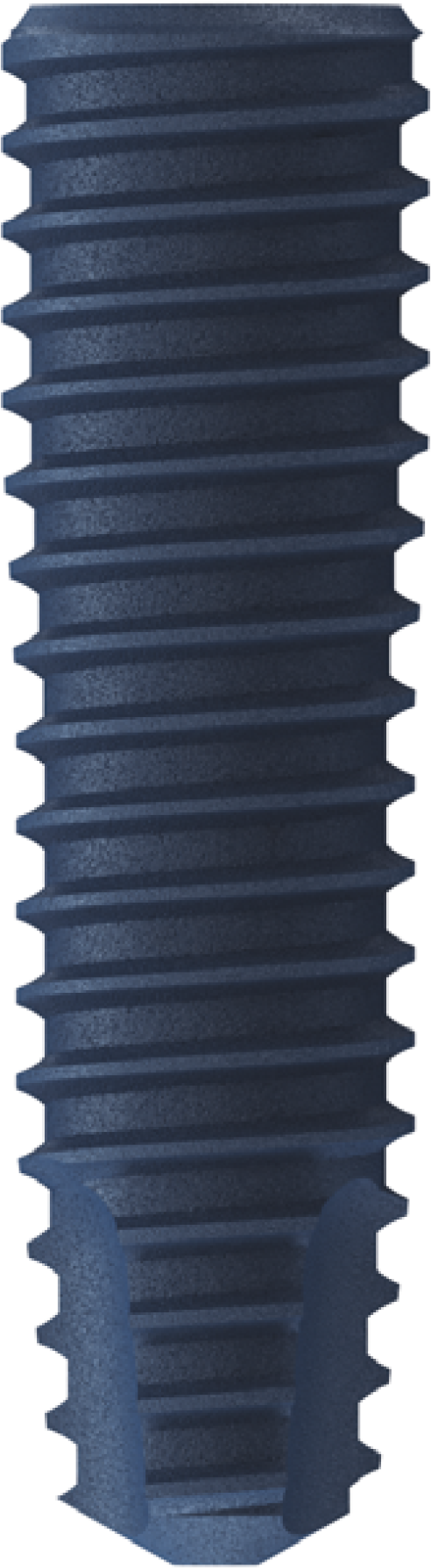 Megagen Russia — MiNi — Мегаджен Россия