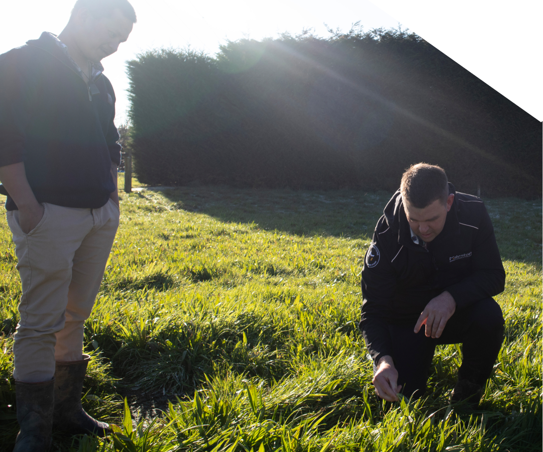 Milestone Business Coaching and Farm Advisory Invercargill | Southland, NZ.