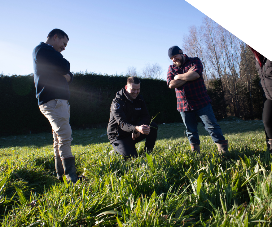Comprehensive Farm Advisory Services | Milestone Invercargill NZ.