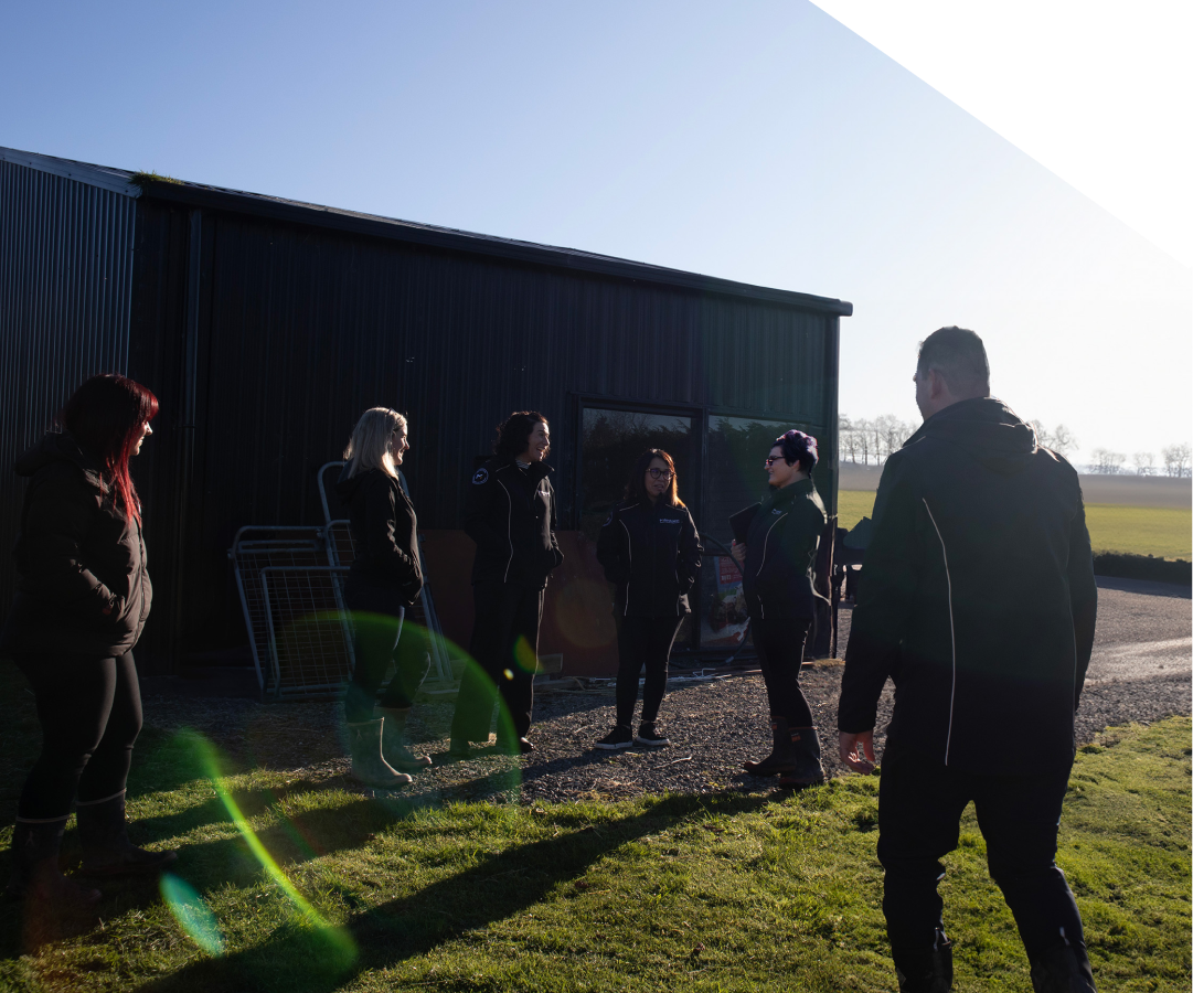 Milestone Business Coaching and Farm Advisory Invercargill | Southland, NZ.