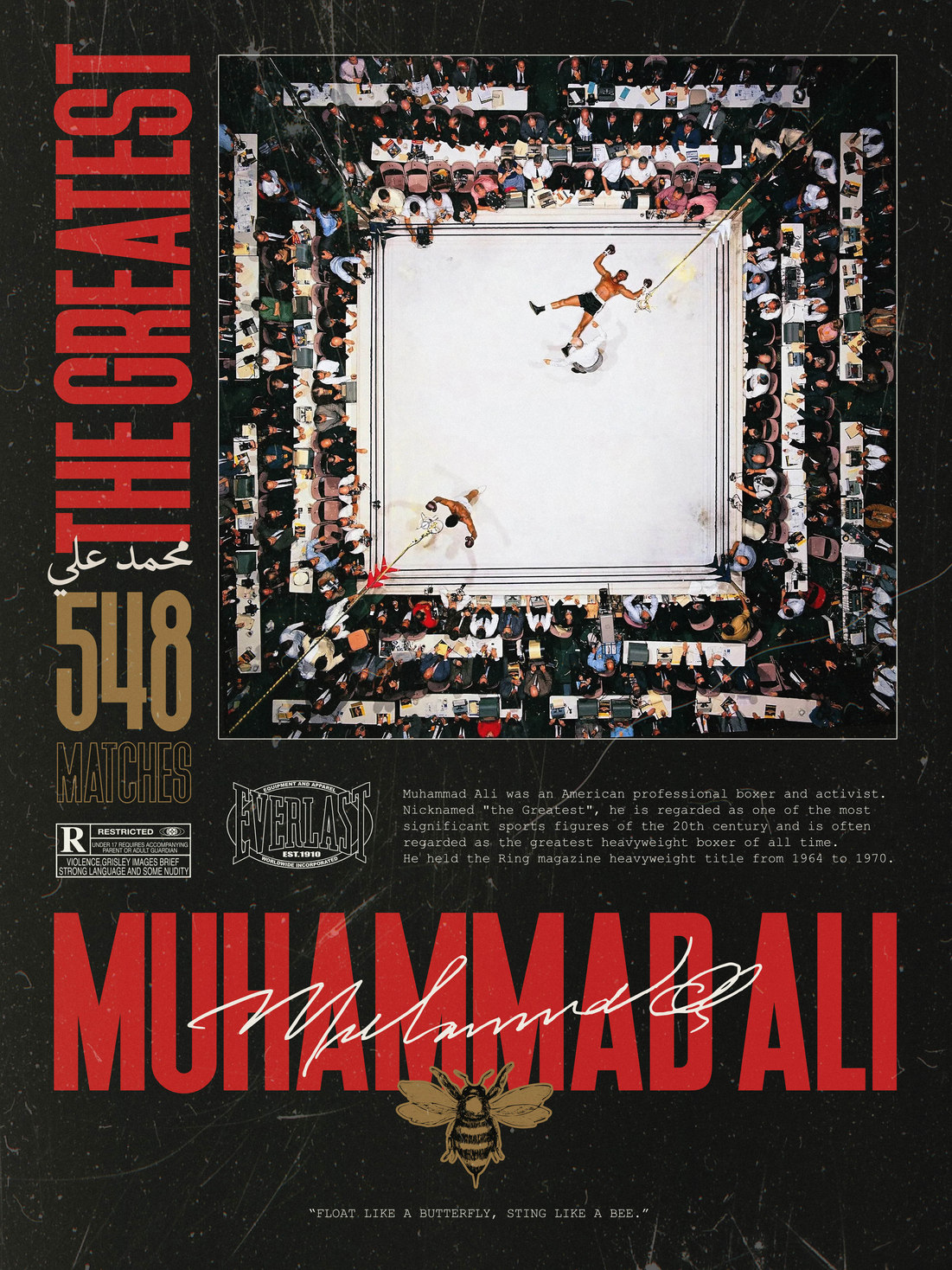 EMMIE CHAN — SPORTS LEGENDS — POSTER SERIES