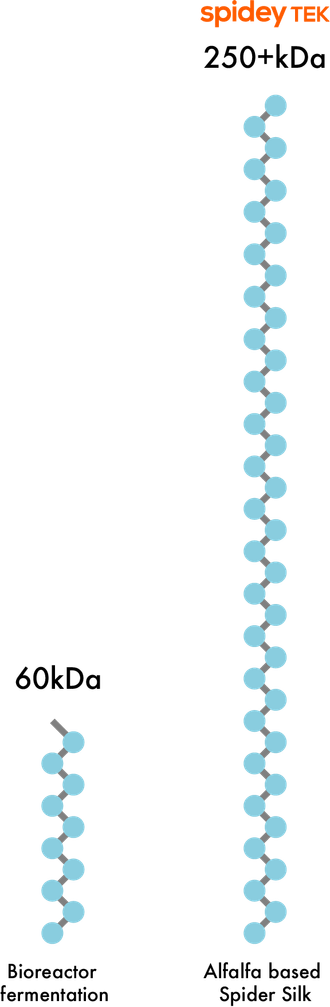 Spidey Tek Recombinant Spider Silk Proteins — Science