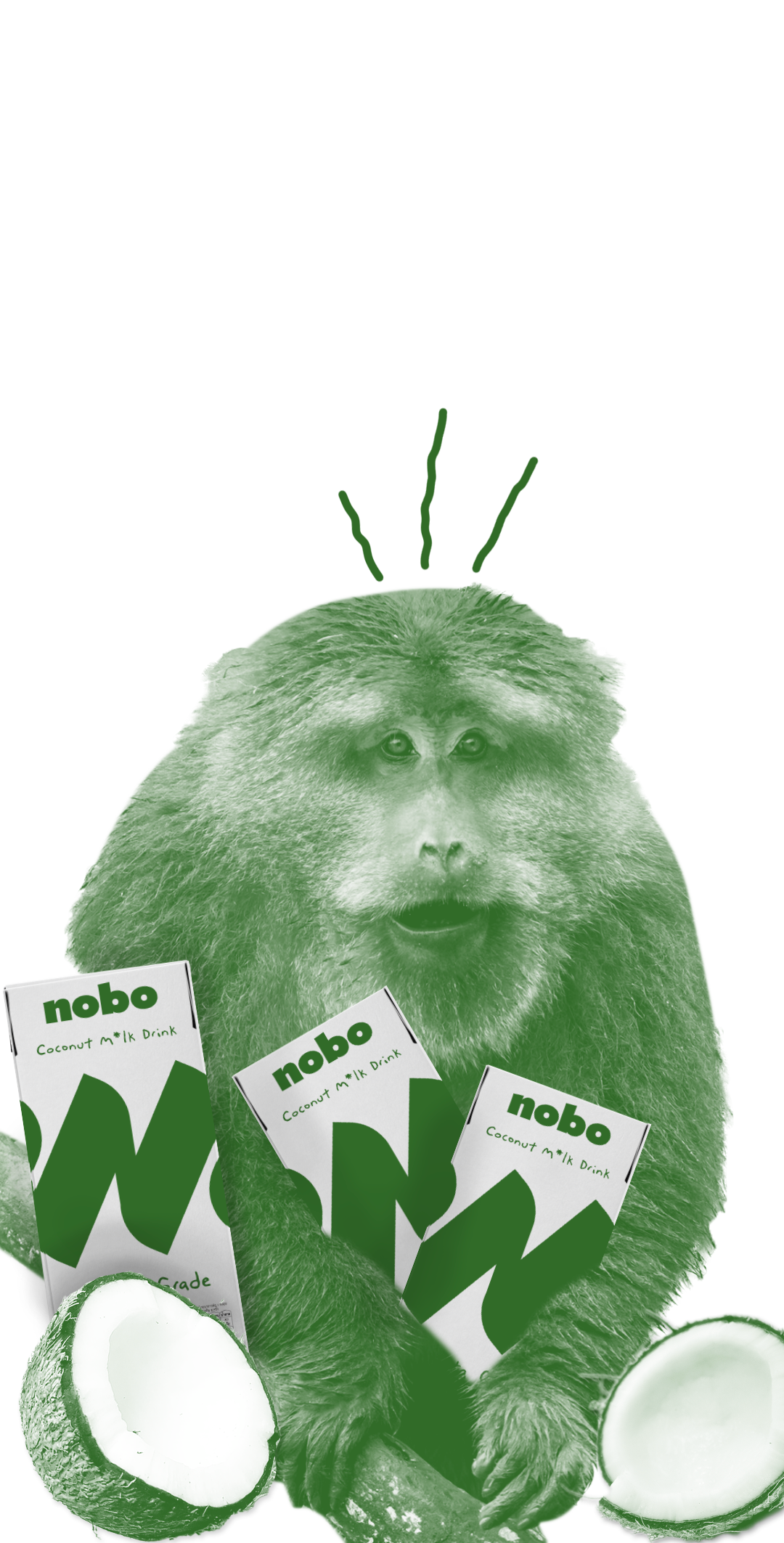 NOBO Coconut Milk (EN) — FAQ