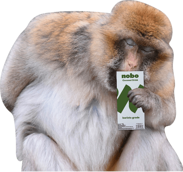 NOBO Coconut Milk (EN) — Recipes