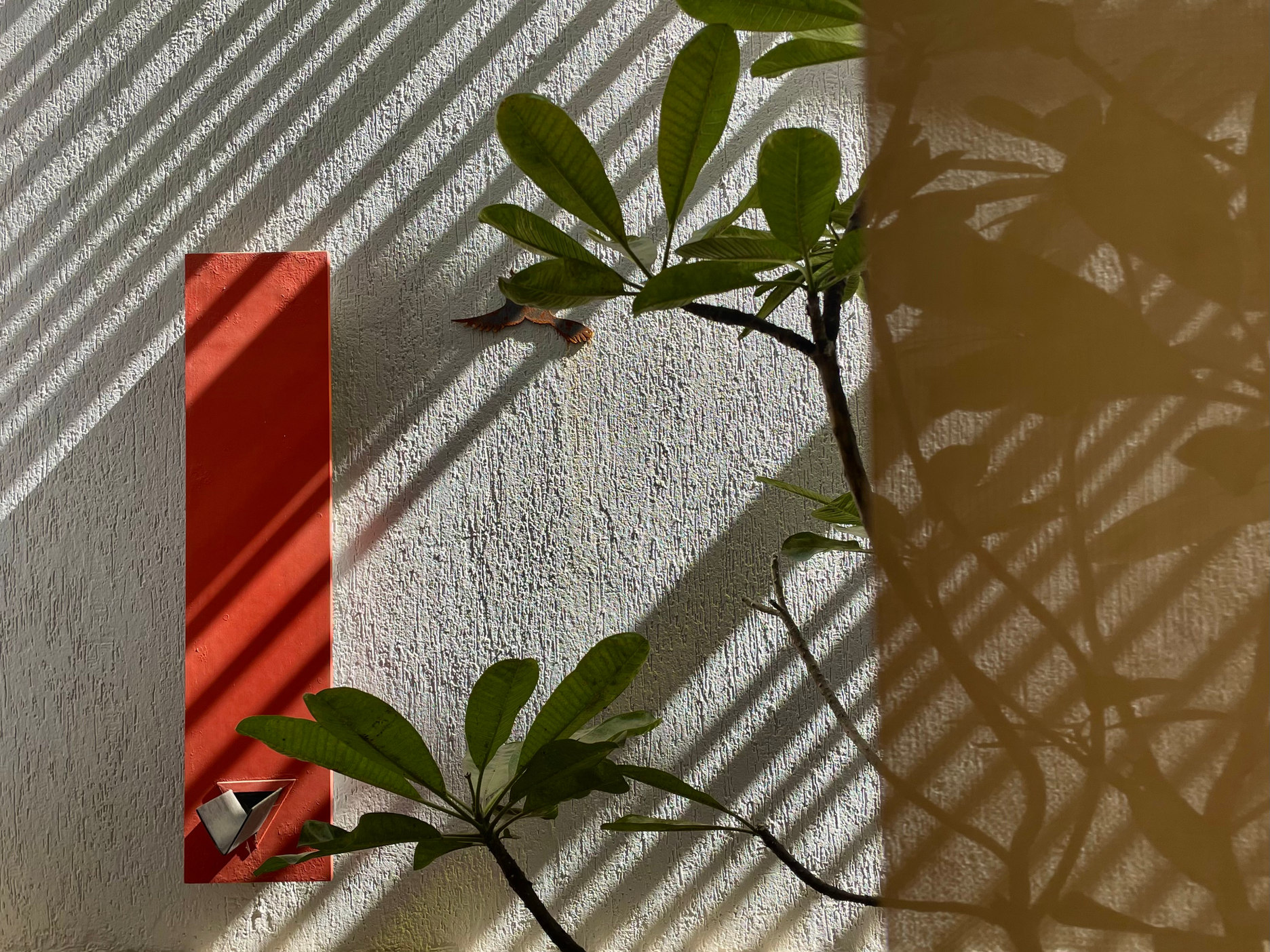 Morphosis Architects — Studio | Morphosis Architects