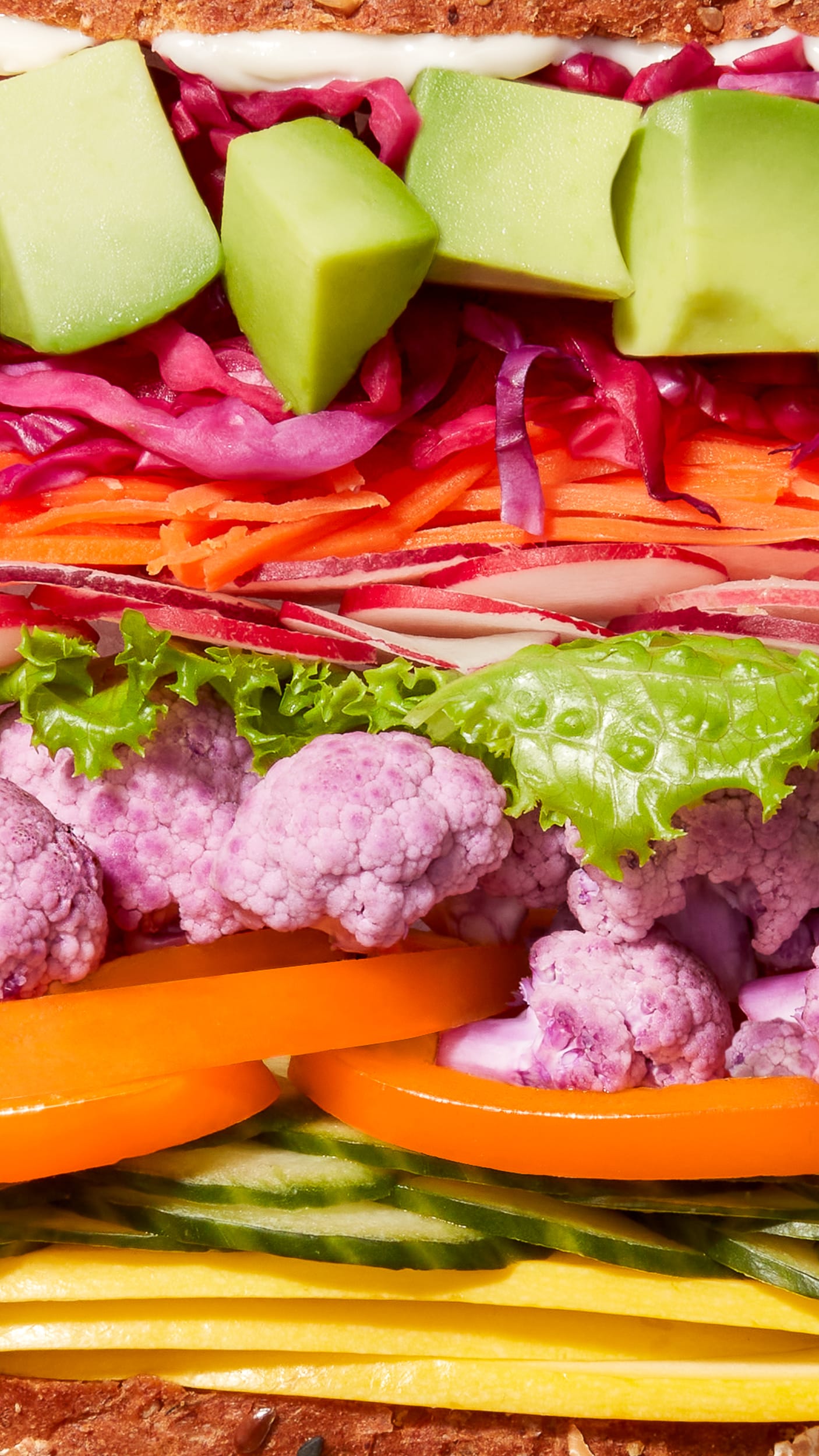 Lisa Predko | Chicago-Based Photographer & Director