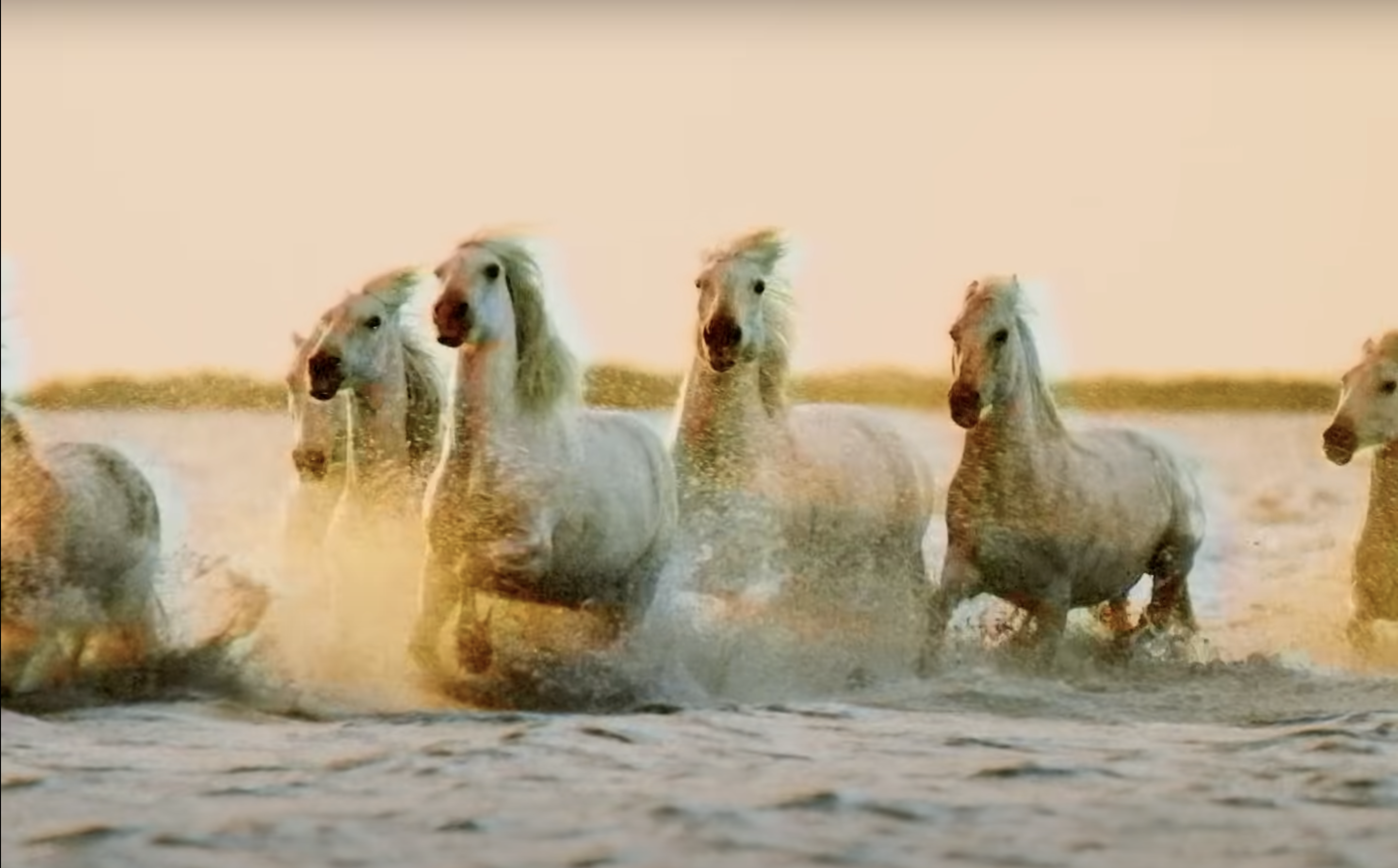 Esprit Casting — A-C