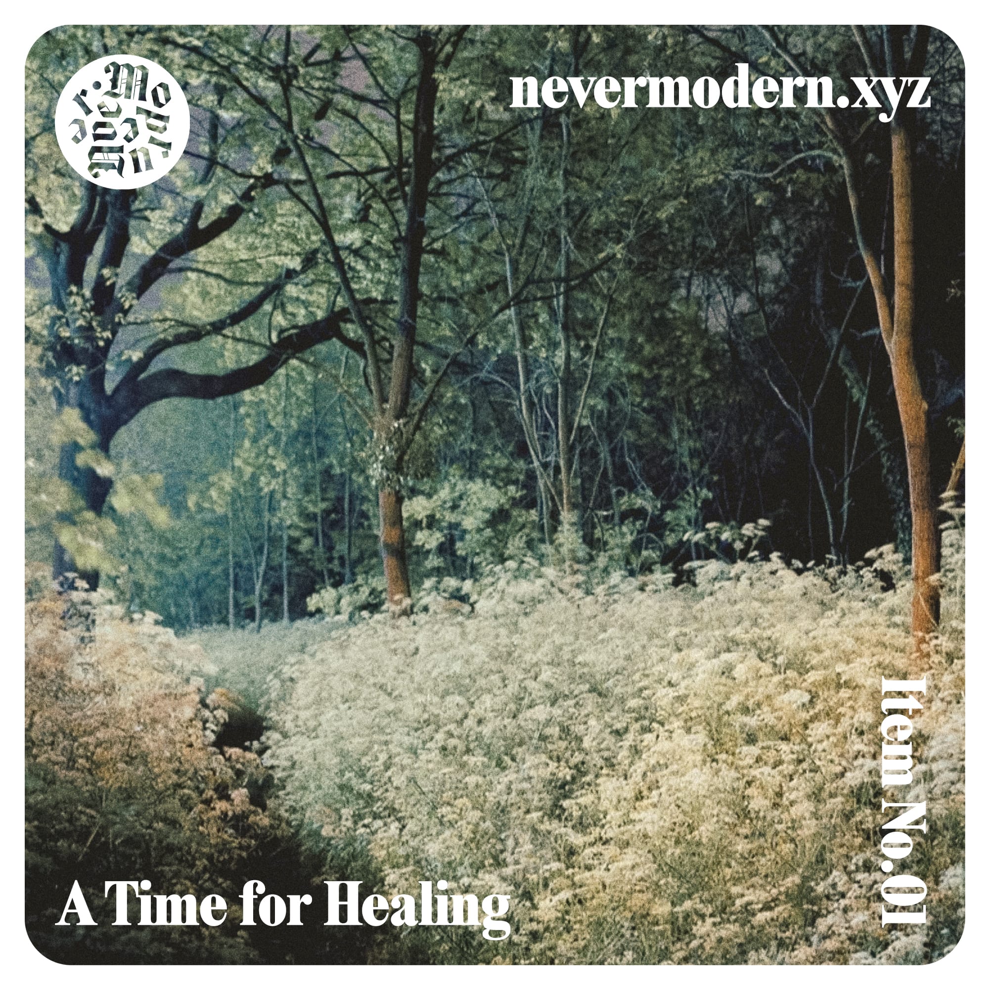 Never Modern — About