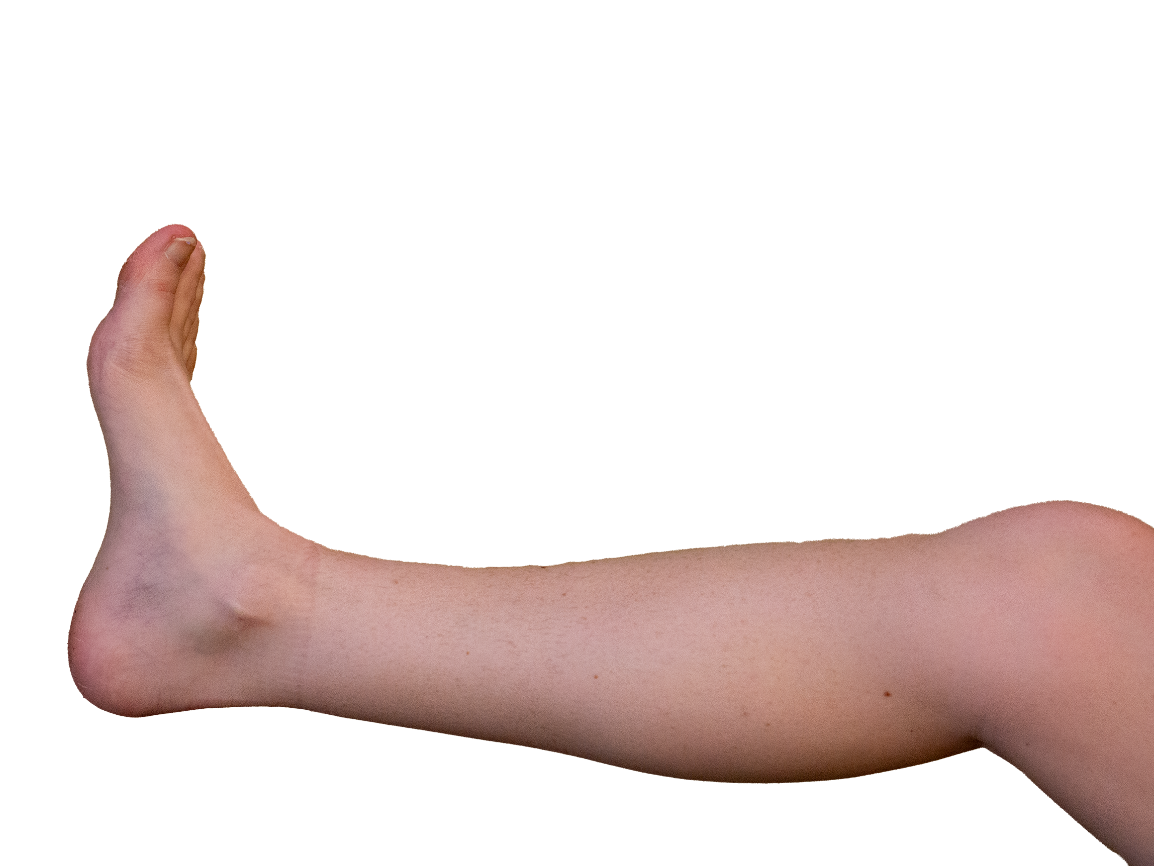 rylee henson — Diss / Research Practice