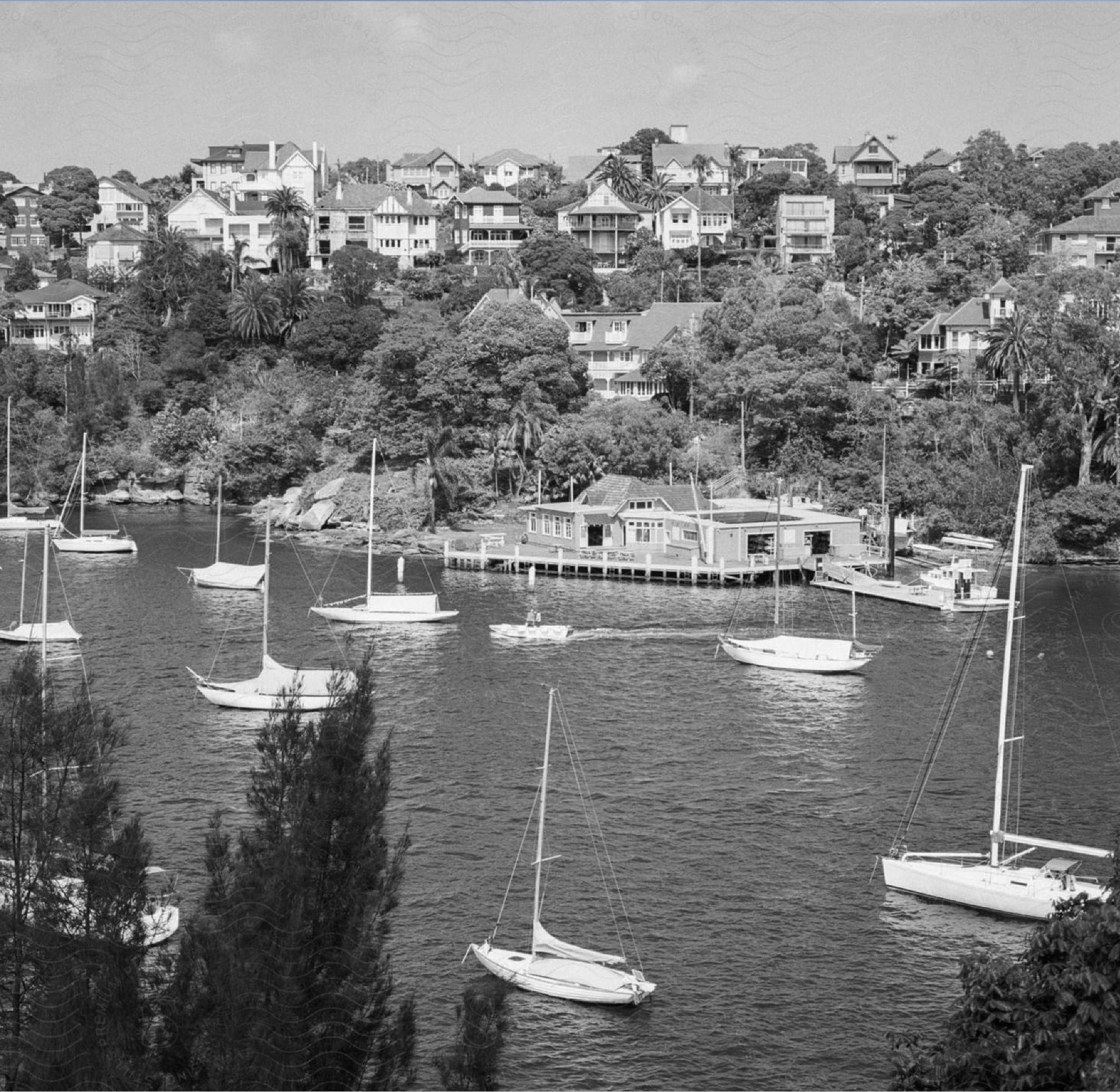 Angel Insurance Brokers