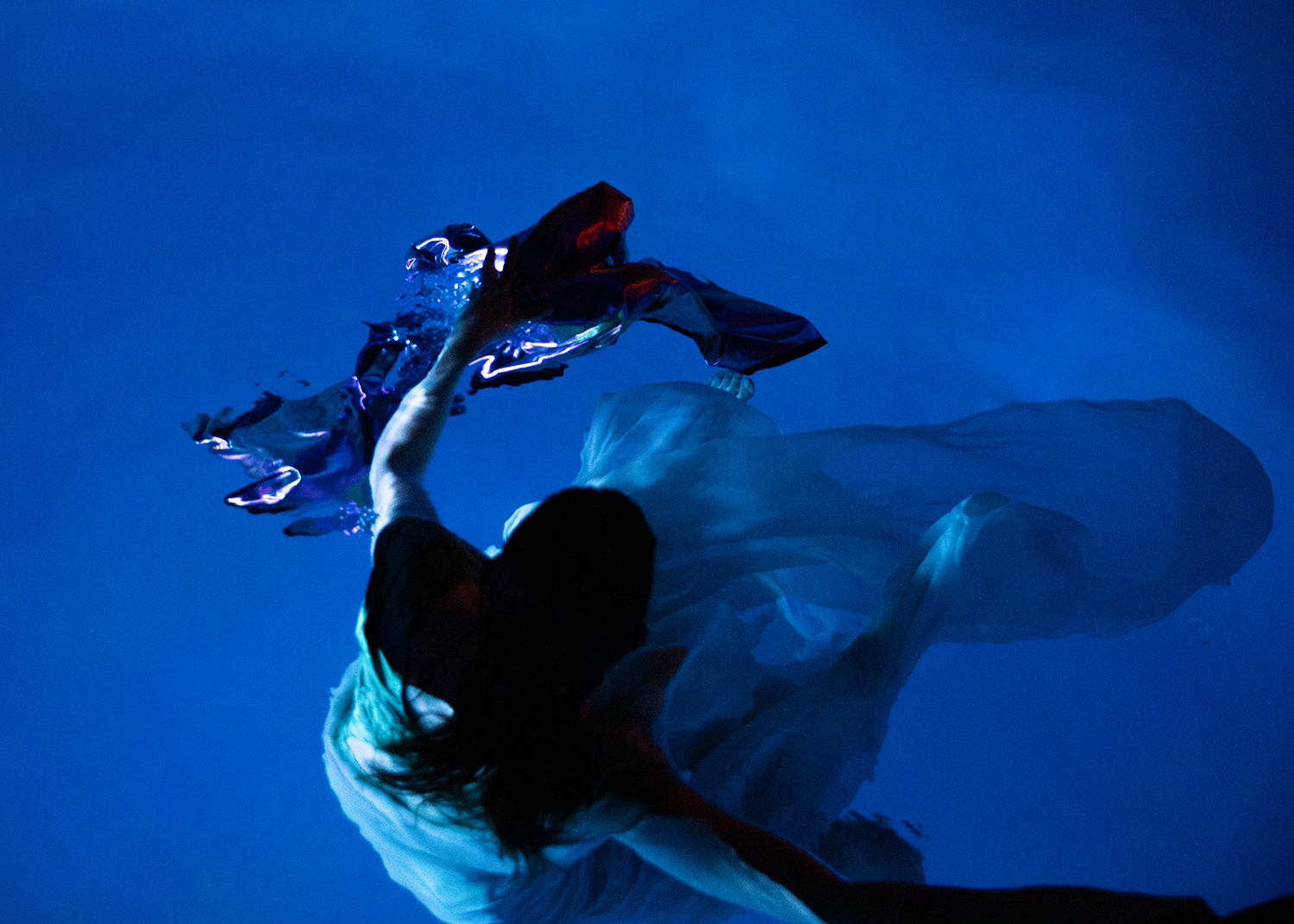 Elena Stanton Photography