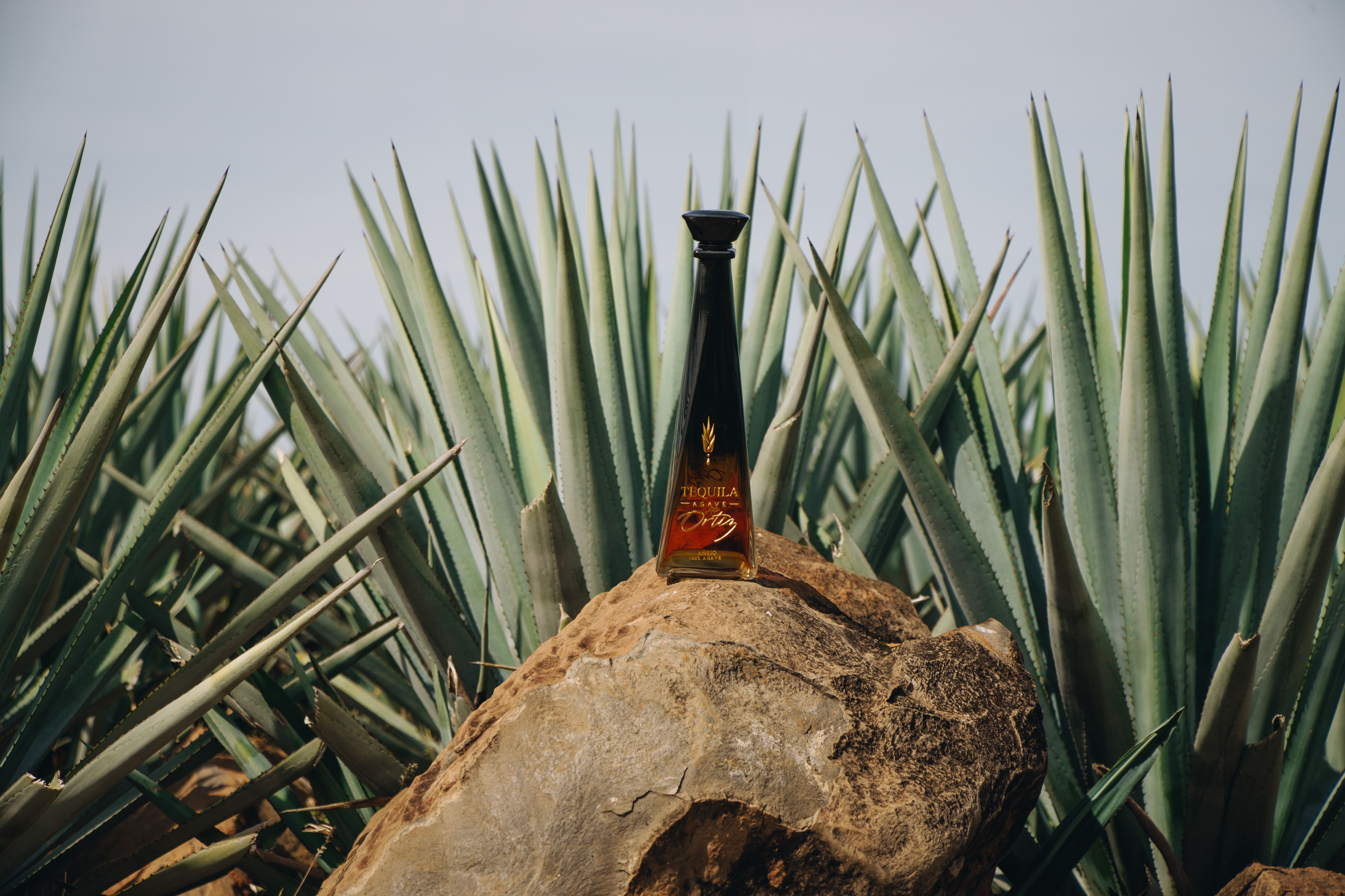 Tequila Ortiz — Our Products