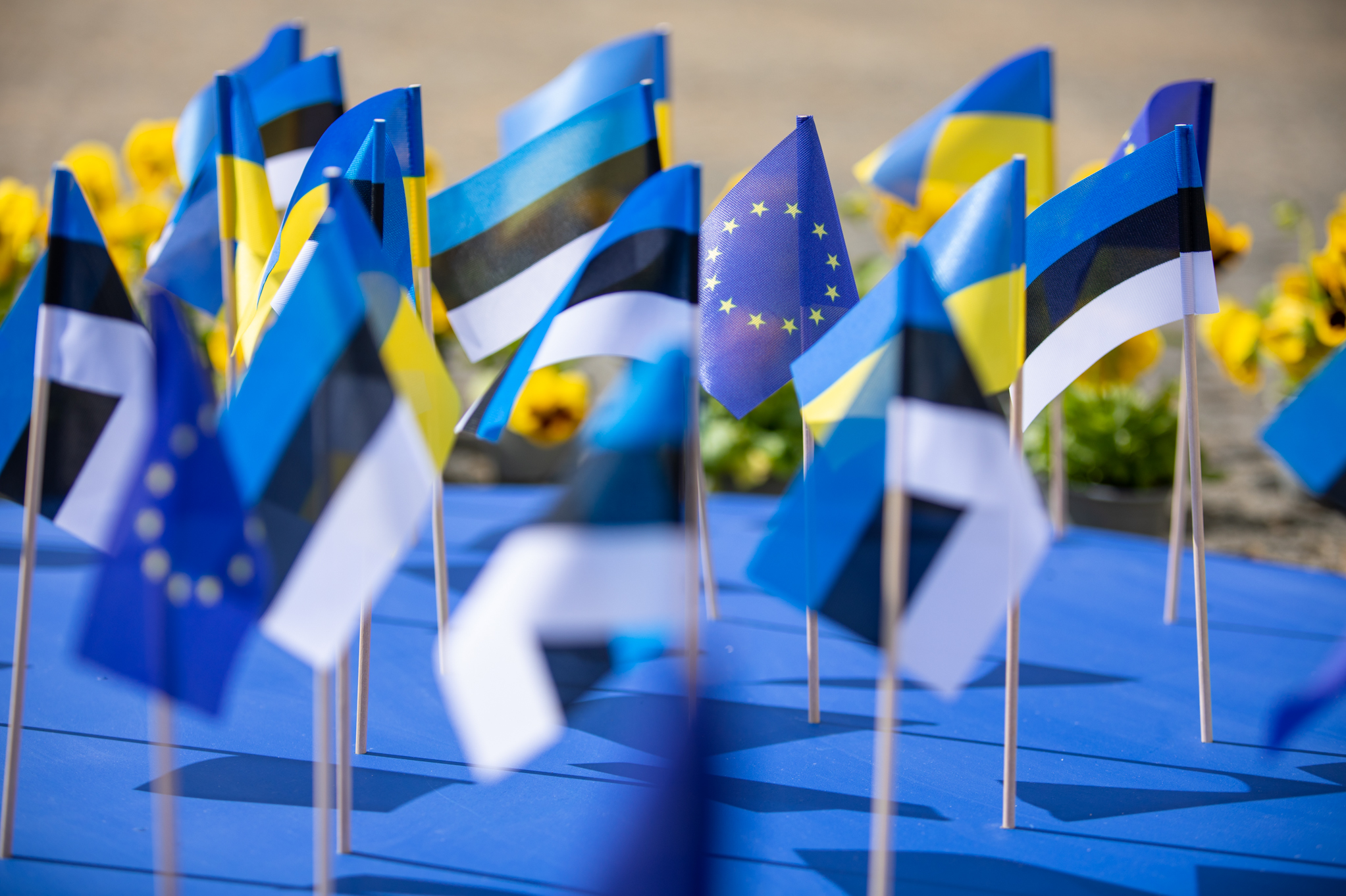 Euroopa päev 2025 - programm