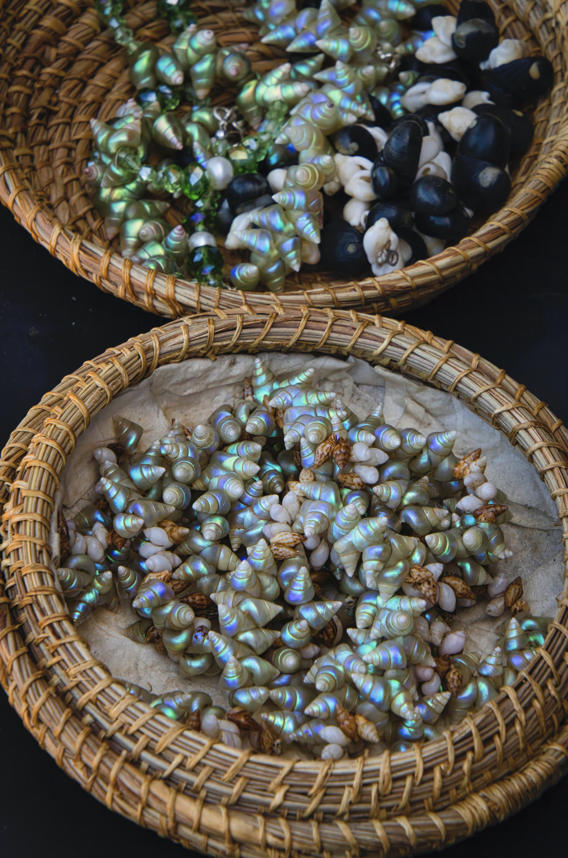 DAE STORY BANK 2026 — Guide to Aboriginal shellwork
